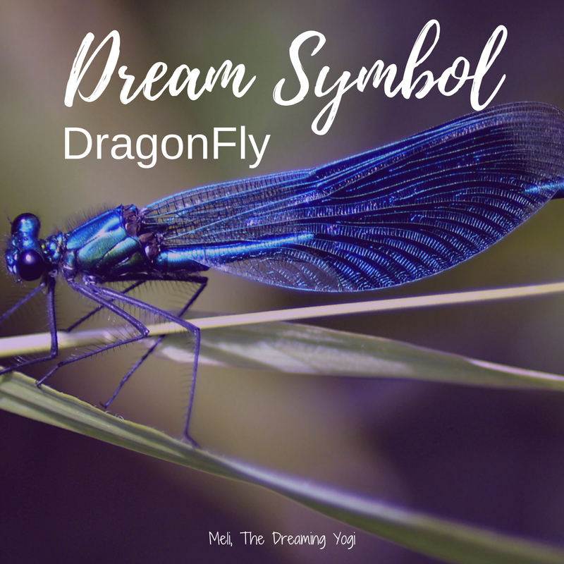 Dream Symbol | The Dreaming Yogi